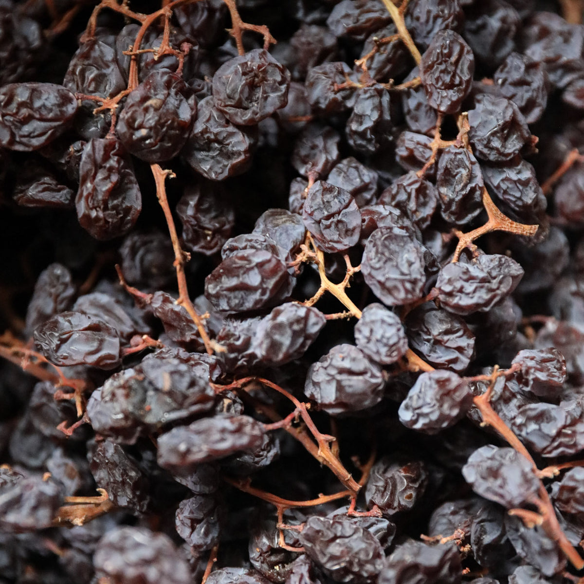 Muscadet Raisins (Malaga Raisins) – The Cambridge Cheese Company